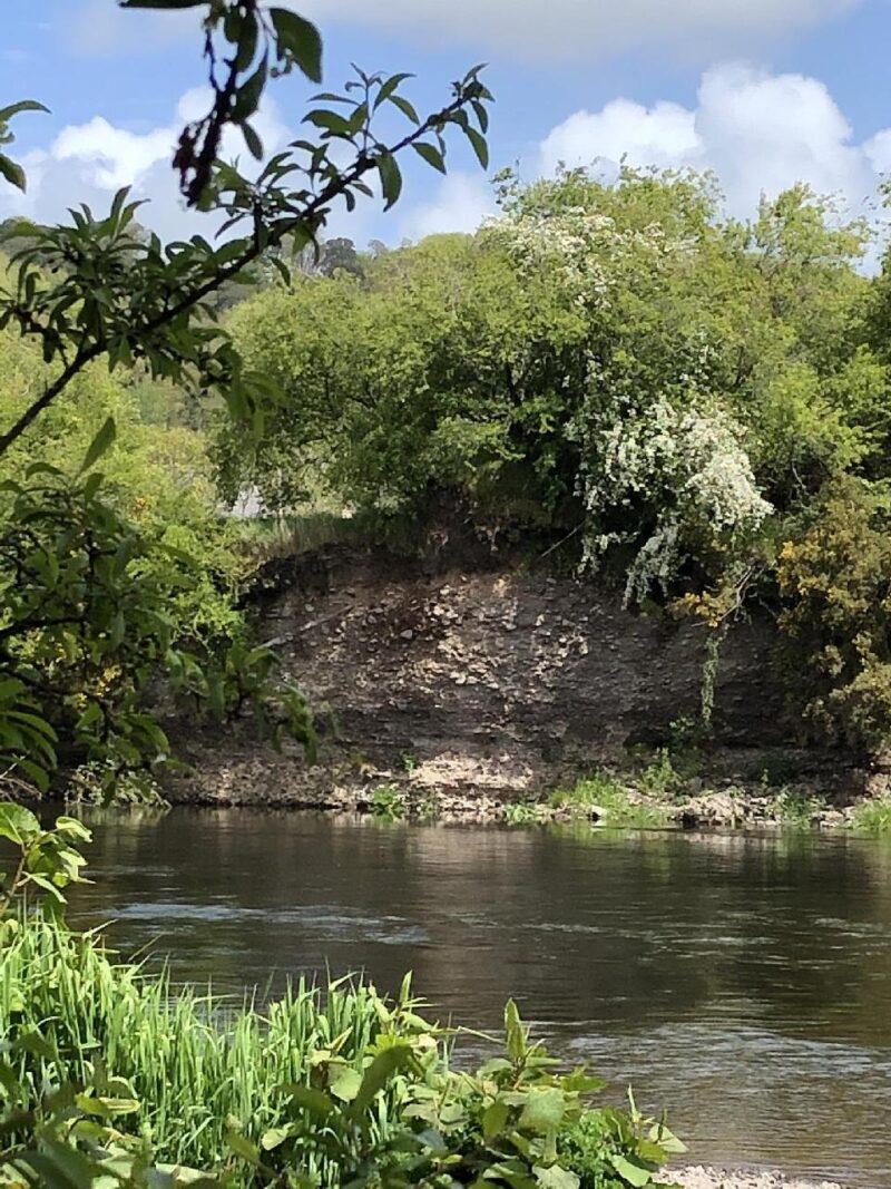 The World Wetlands Day Photo Competition – Irish Ramsar Wetlands Committee