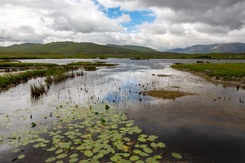Home - Irish Ramsar Wetlands Committee
