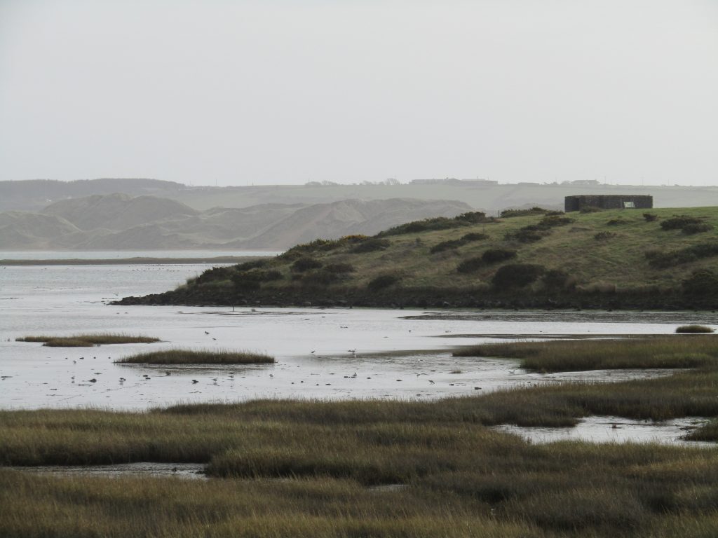 World Wetland's Day 2023 - Waterford (Tramore) - Irish Ramsar Wetlands ...