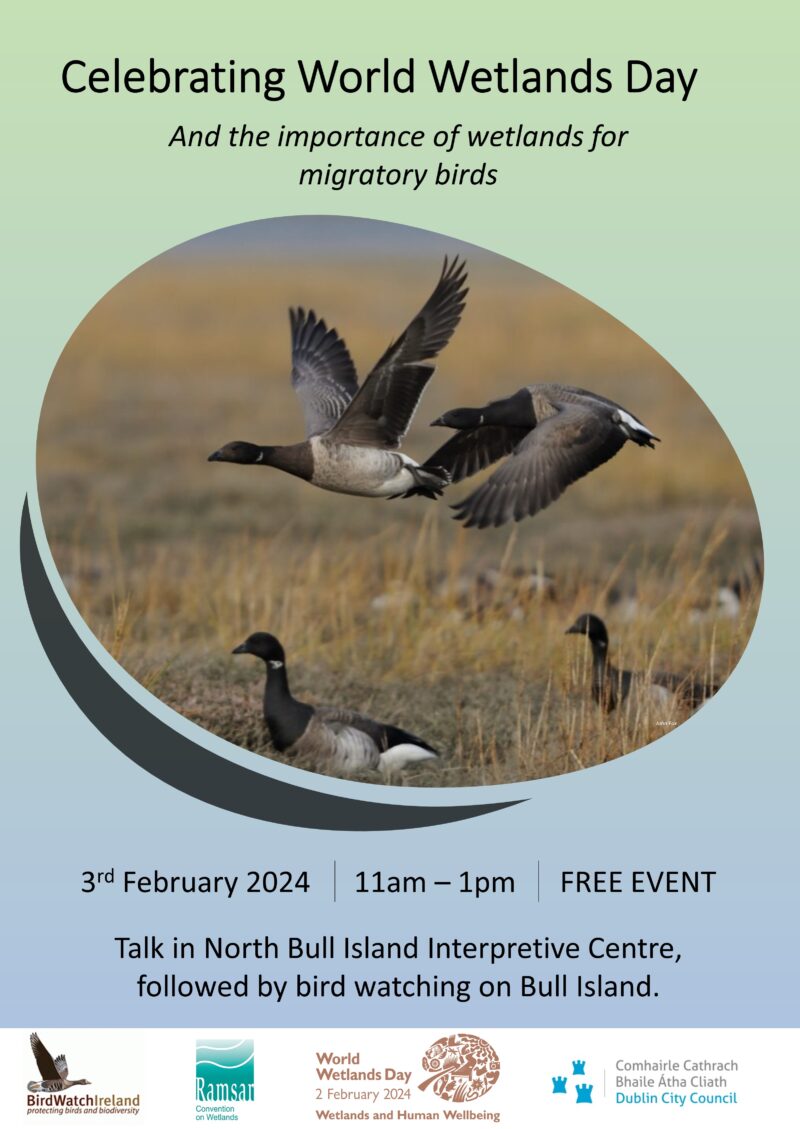 World Wetlands Day 2024 - Bull Island (Dublin) - Irish Ramsar Wetlands Committee