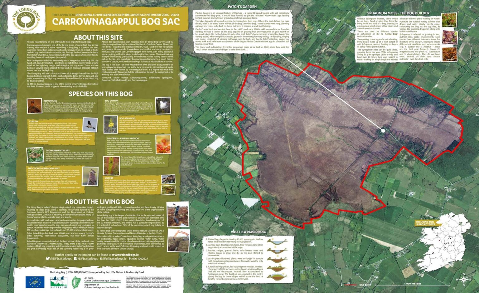 World Wetlands Day 2024 - Carrownagappul Bog (Galway) - Irish Ramsar ...