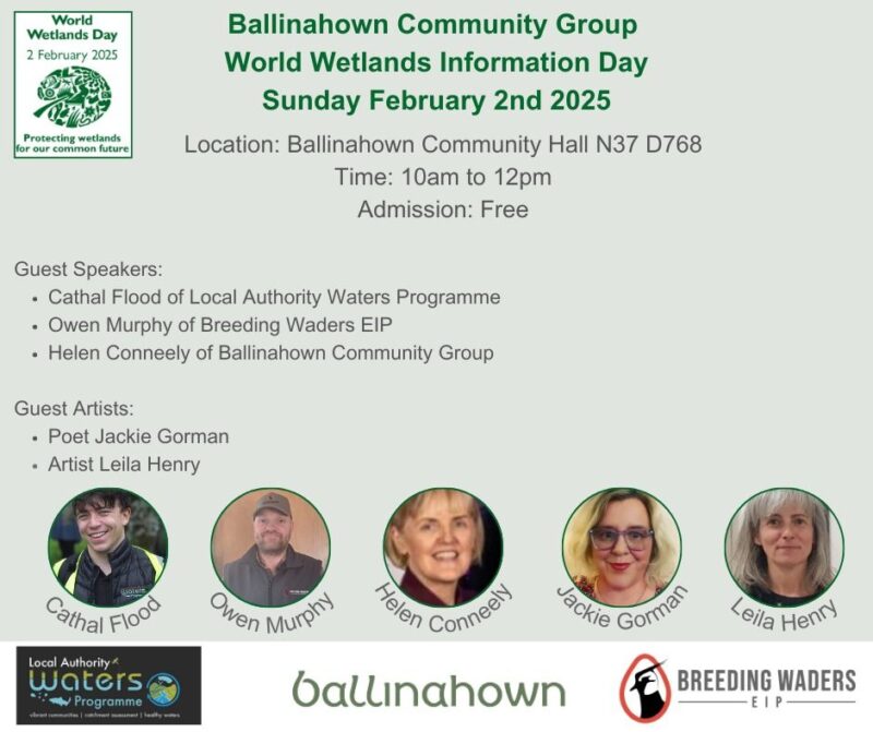 Ballinahown Community Group World Wetlands Information Day - Irish ...