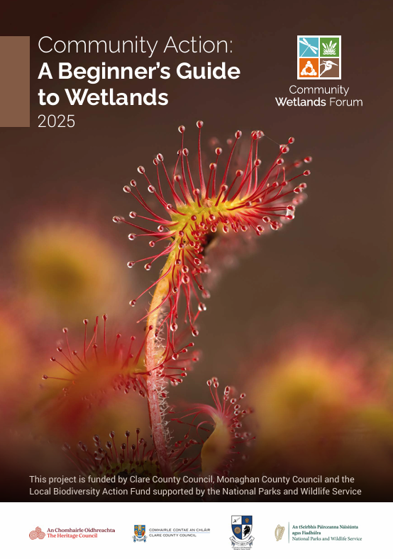 Community Action: A Beginner’s Guide to Wetlands - Irish Ramsar ...